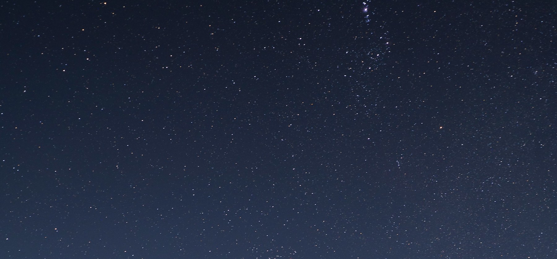 1000 Stardust to Purify Search String in Pokémon GO